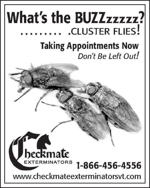 Pest Management in Starksboro, VT | Checkmate Exterminators